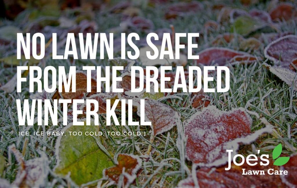 No Lawn Is Safe From The Dreaded Winter Kill - Joe's Lawn Care