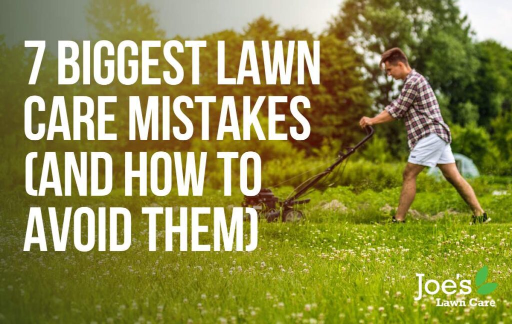 7 Biggest Lawn Care Mistakes (And How to Avoid Them) - Joe's Lawn Care