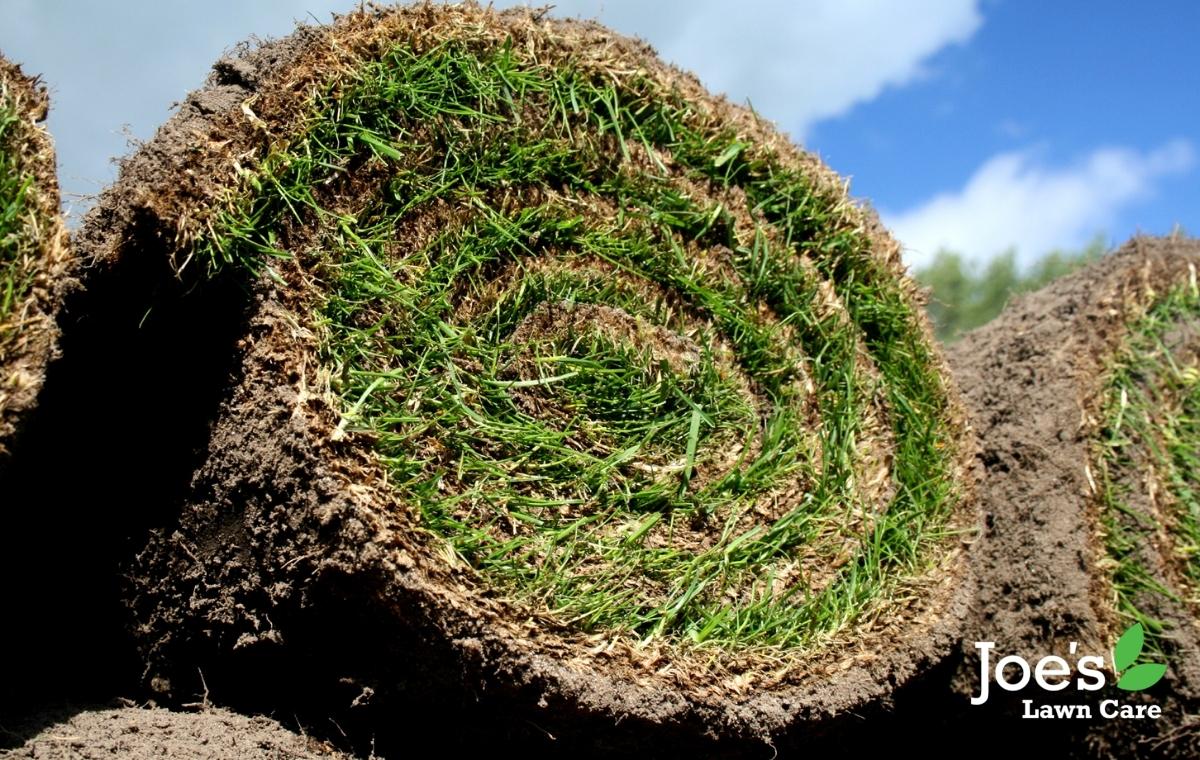 2 Ways To Repair Bare Patches in Your Lawn - Joe's Lawn Care