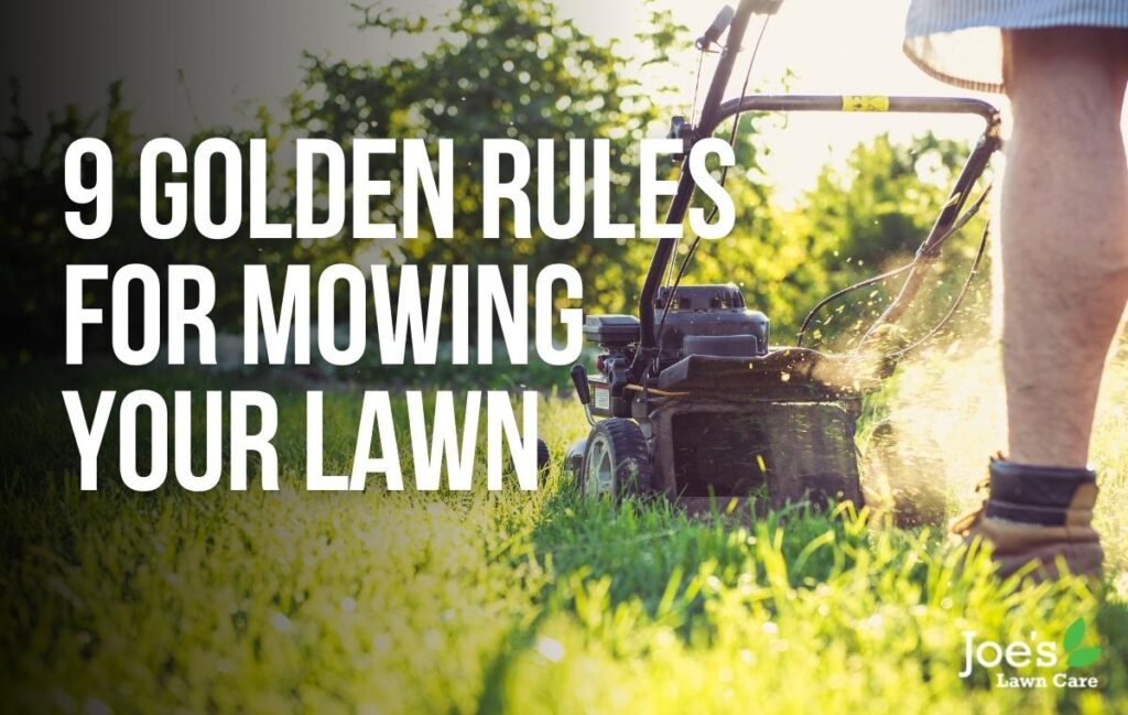 9 Golden Rules For Mowing Your Lawn - Joe's Lawn Care