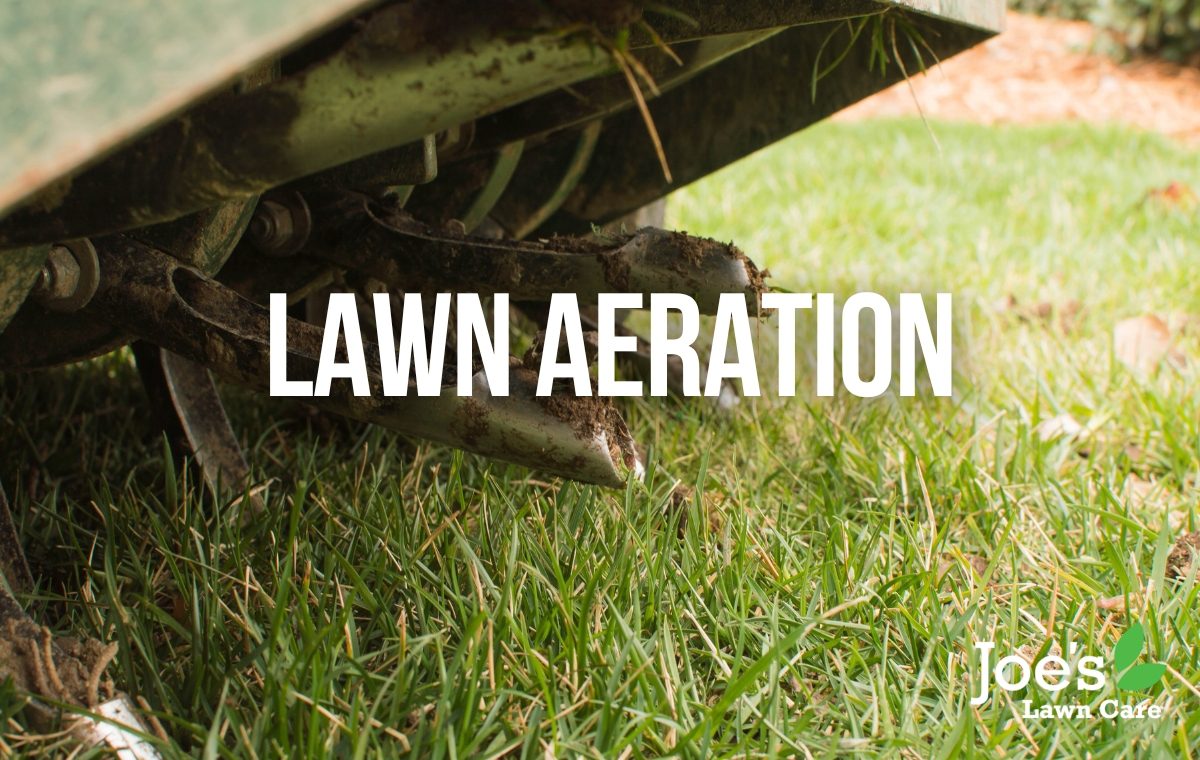 Understanding Lawn Scarification and Aeration - Joe's Lawn Care