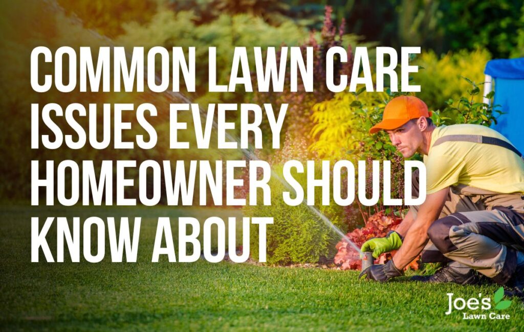 Common Lawn Care Issues Every Homeowner Should Know About - Joe's Lawn Care