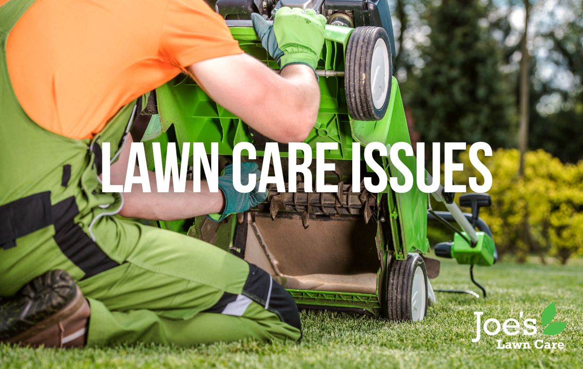 Common Lawn Care Issues Every Homeowner Should Know About - Joe's Lawn Care