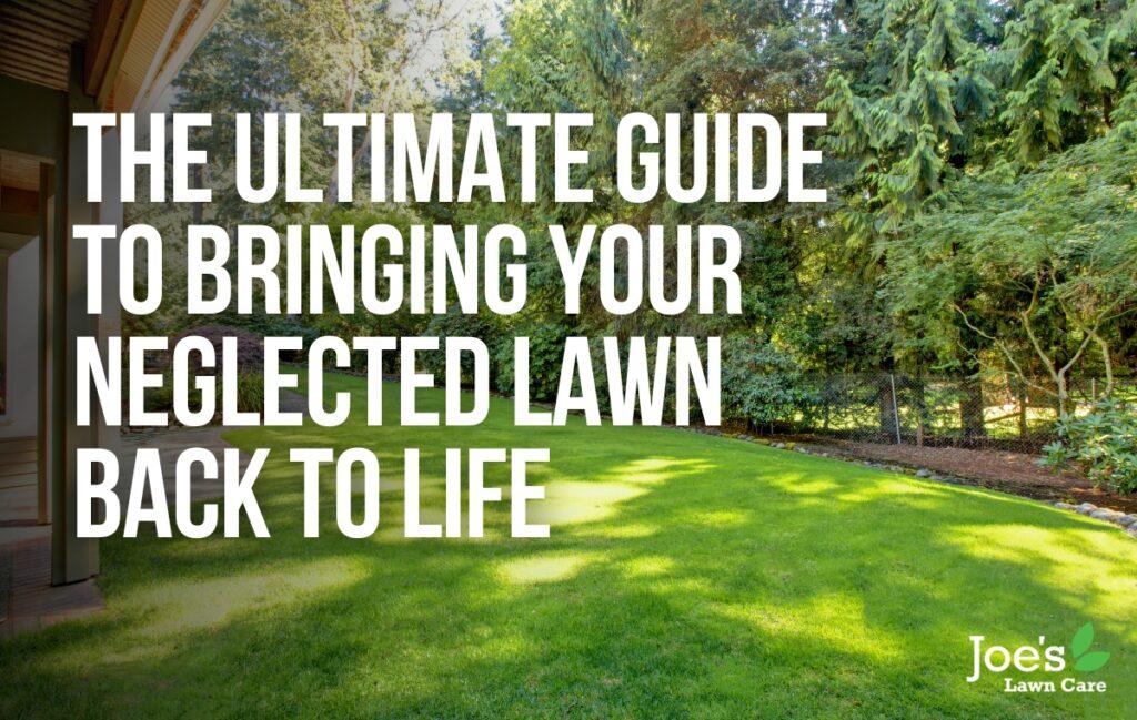The Ultimate Guide To Bringing Your Neglected Lawn Back To Life - Joe's ...