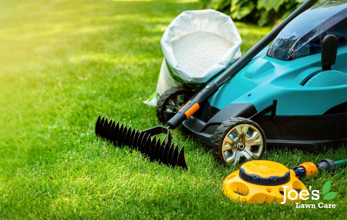 The Ultimate Guide To Bringing Your Neglected Lawn Back To Life - Joe's ...