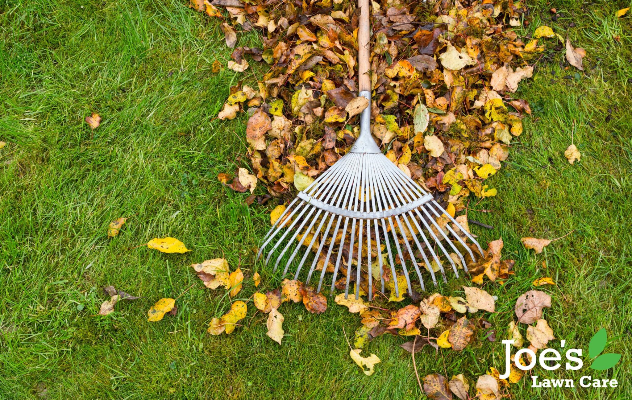 Welcoming the Sights of Spring in Lawn Care - Joe's Lawn Care