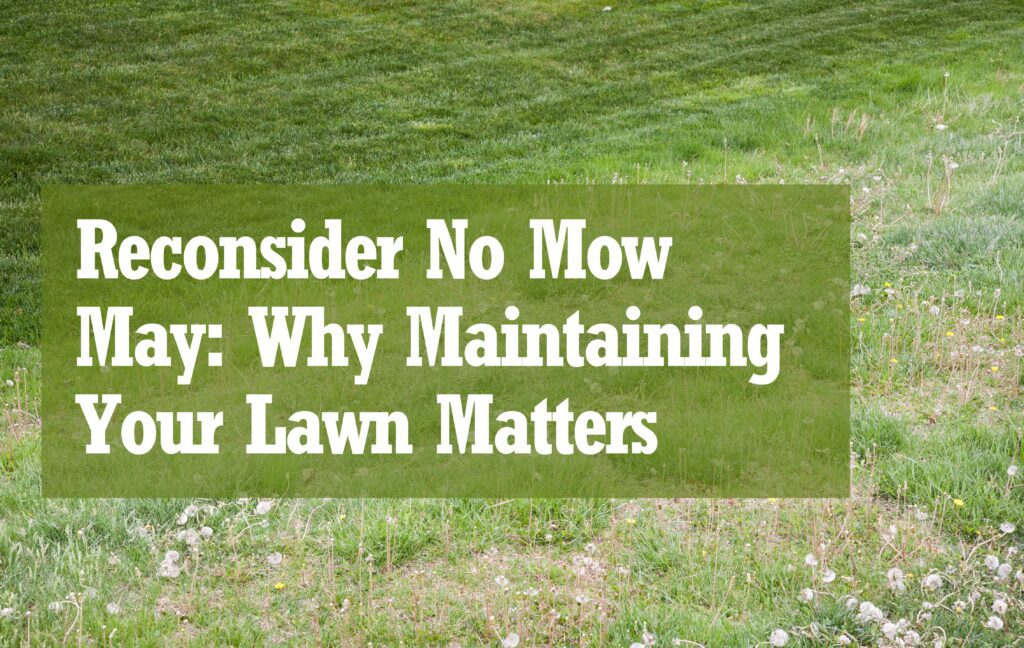 Reconsider No Mow May: Why Maintaining Your Lawn Matters - Joe's Lawn Care
