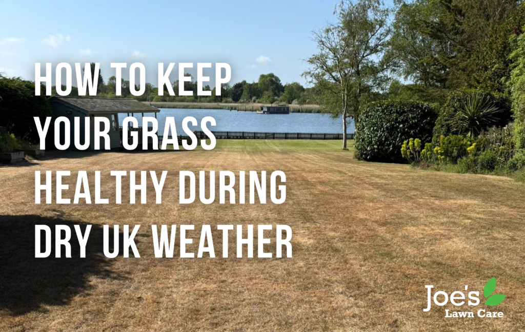 Keeping Grass Healthy During a Drought - Joe's Lawn Care